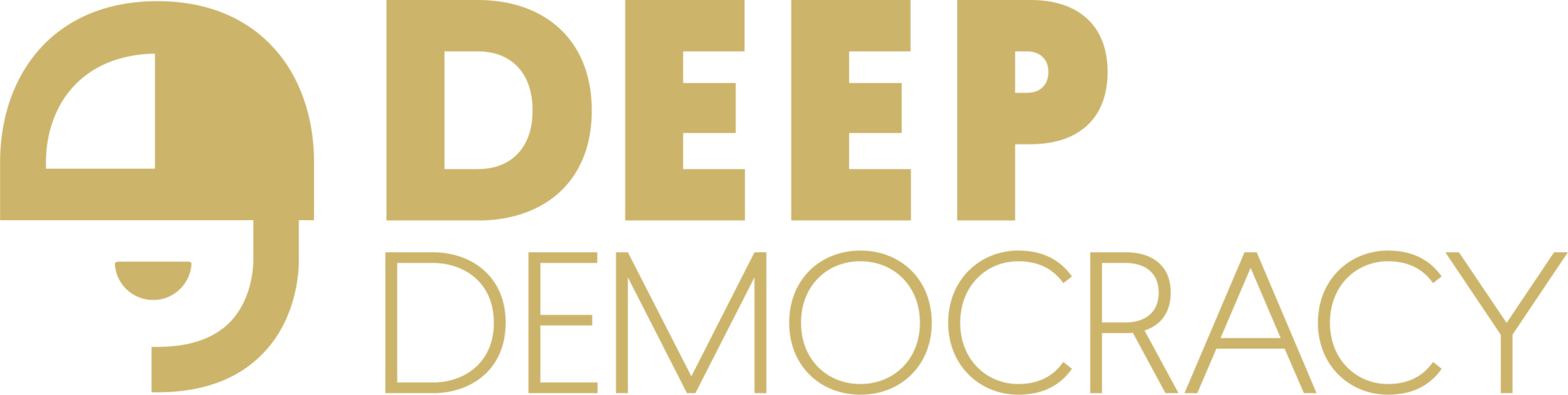 DEEP DEMOCRACY - Wijsheid van de minderheid - De Lewis Methode